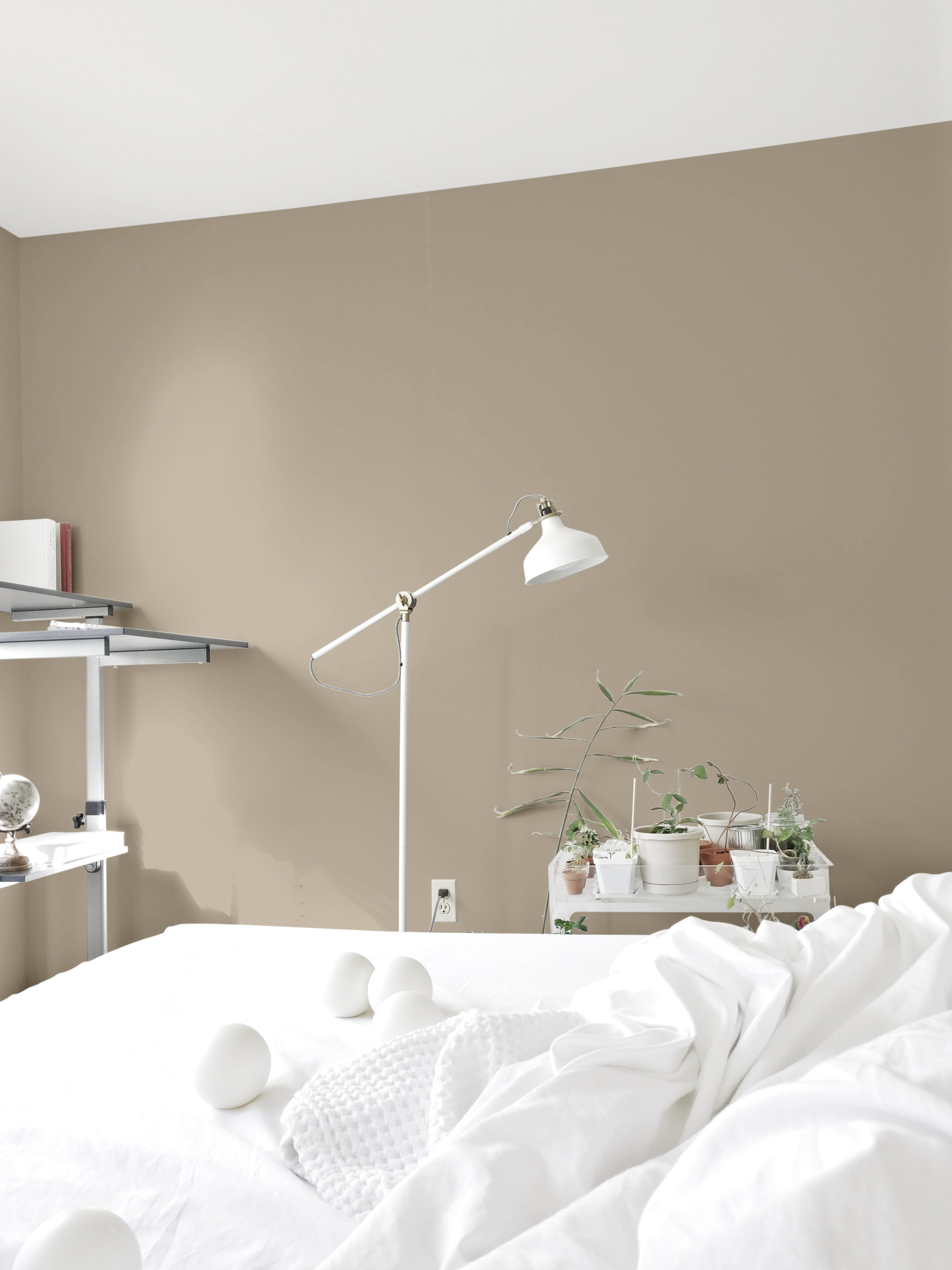 Jotun - Almond Beige (10966) - Lady Pure Color | Colorama