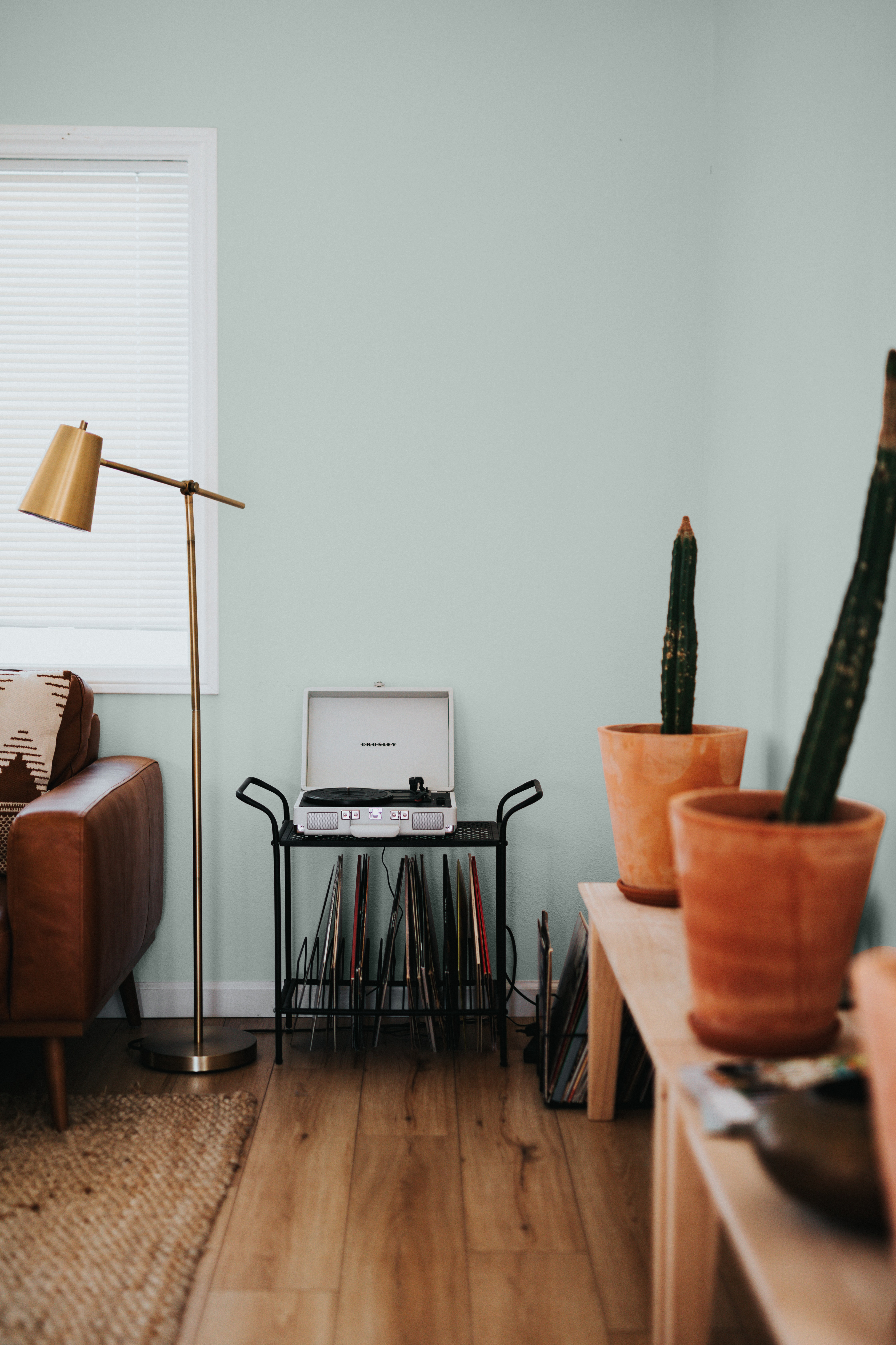 Jotun - Tender Green (6351) - Lady Pure Color | Colorama