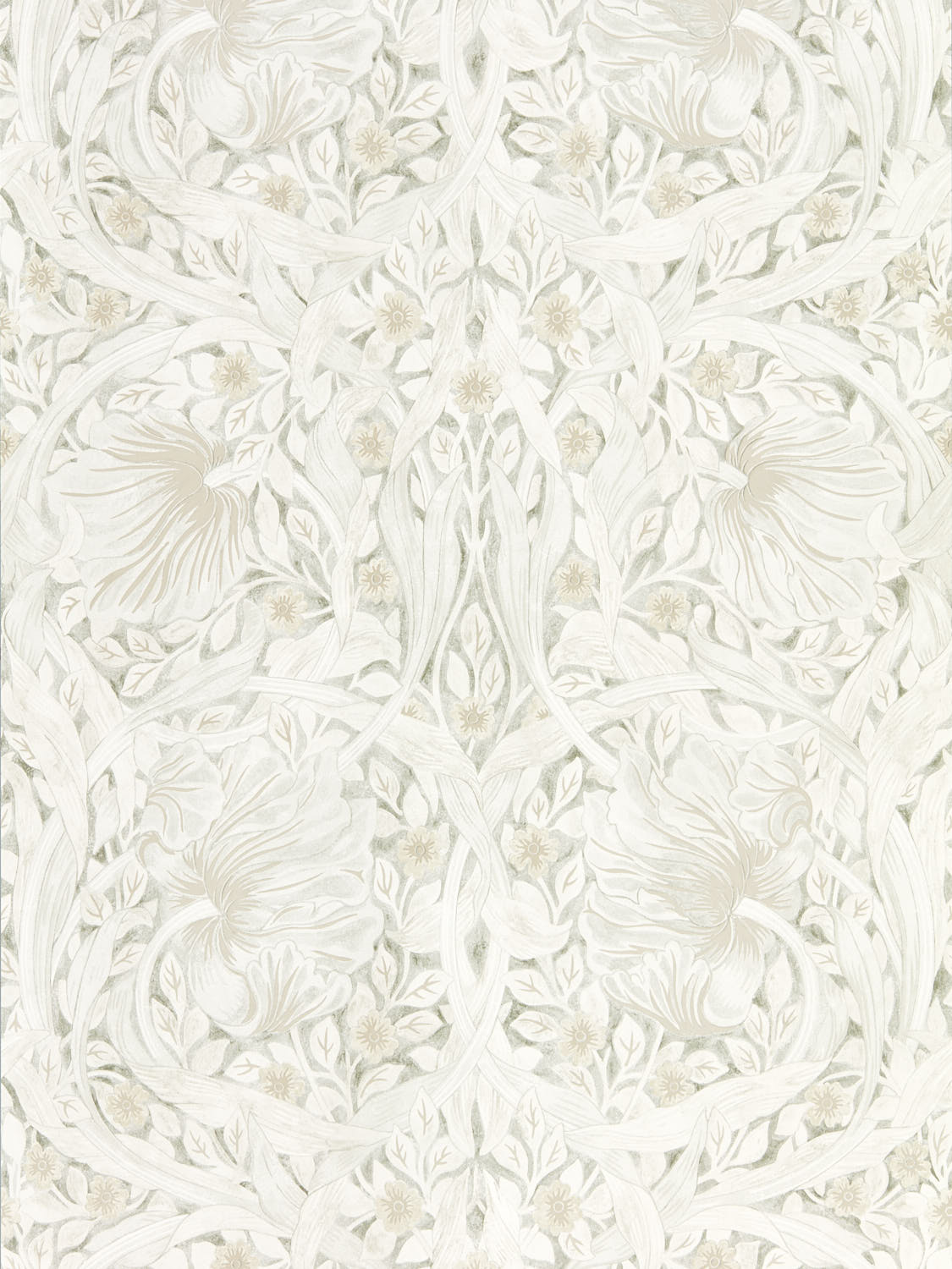 Pure Pimpernel Lightish Grey | Colorama
