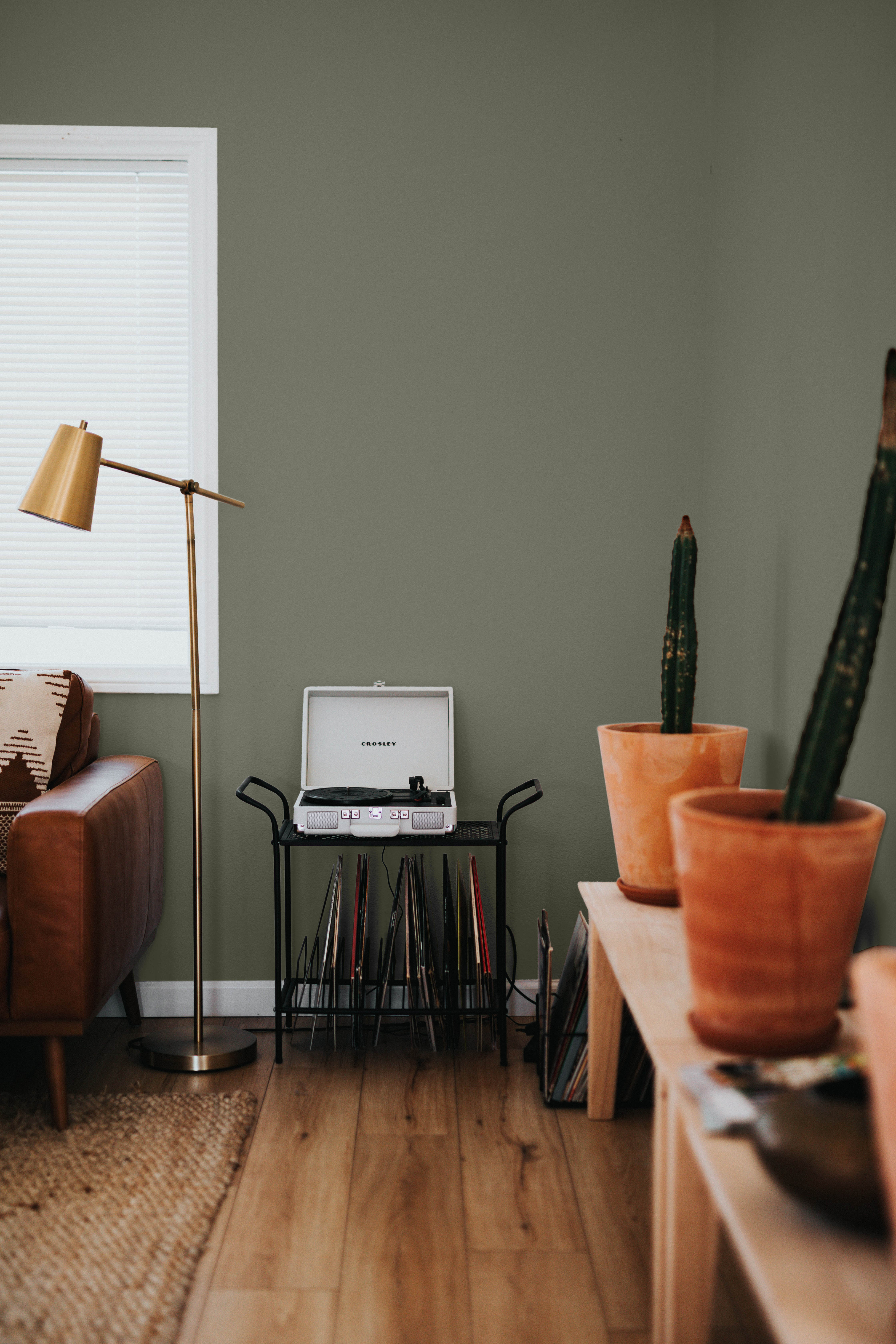 Jotun - Organic green (8494) - Lady Pure Color | Colorama