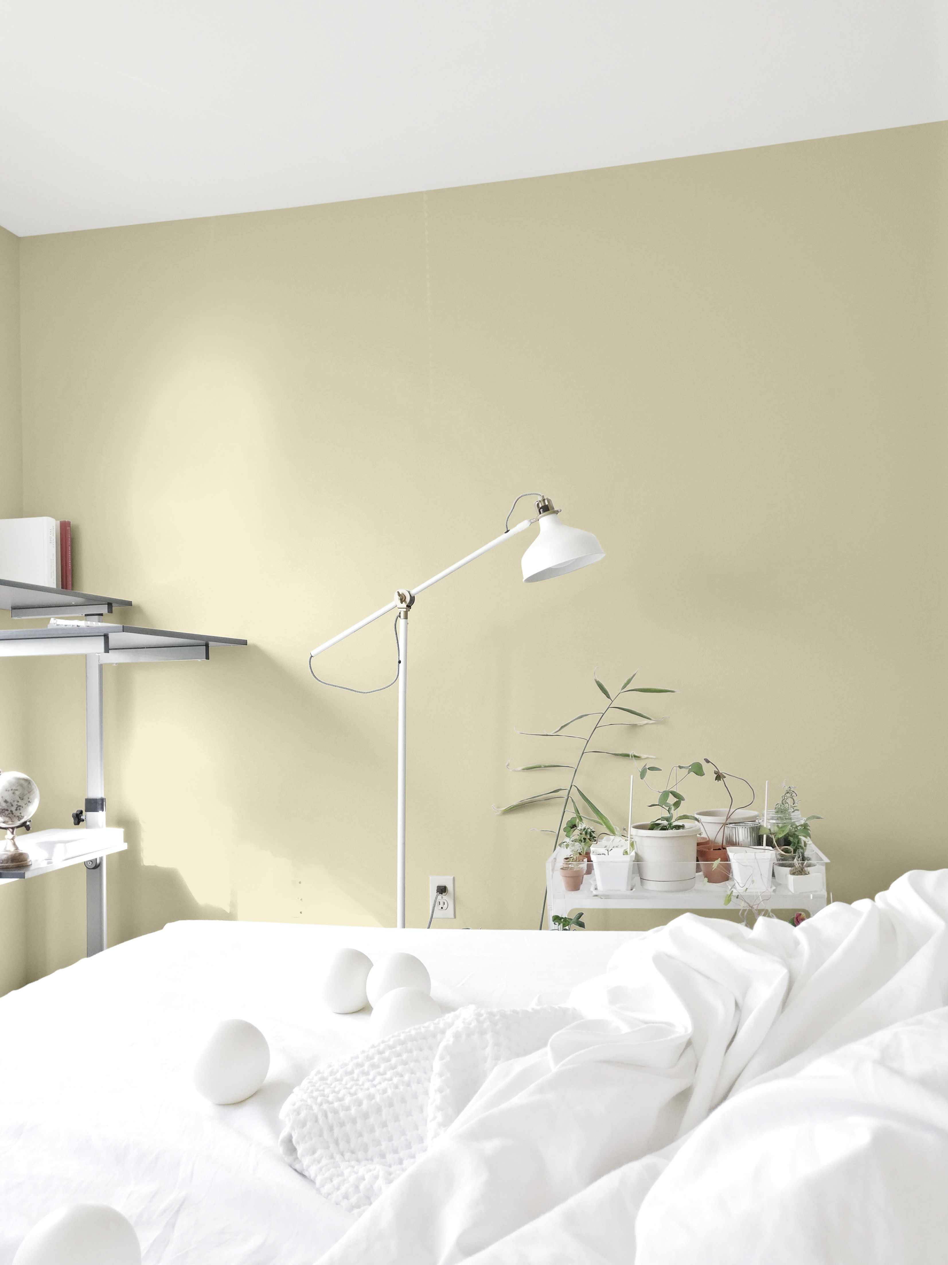 Jotun - Kryddgrönt (8222) - Lady Pure Color | Colorama