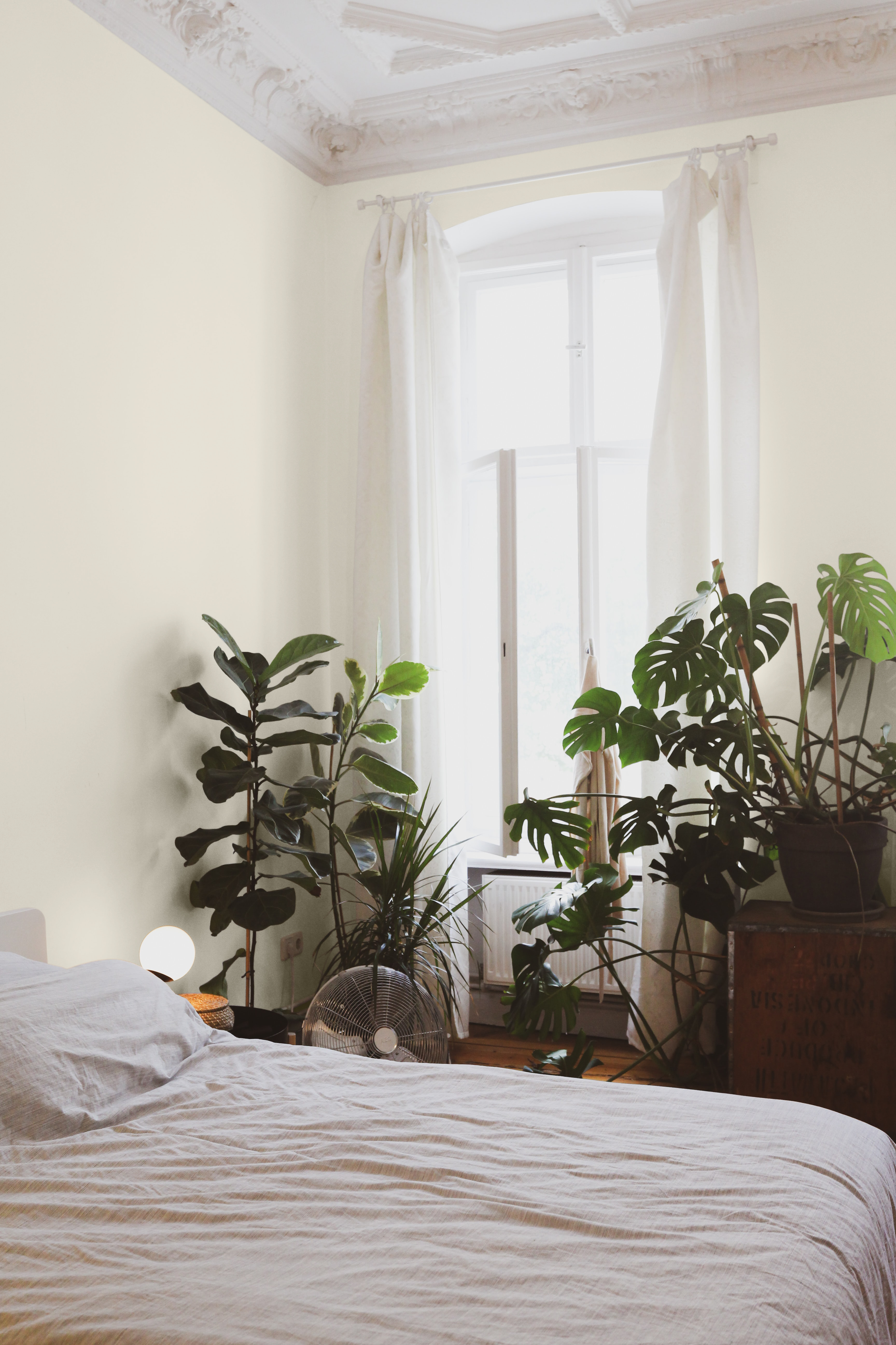 Jotun - Mild (1275) - Lady Pure Color | Colorama