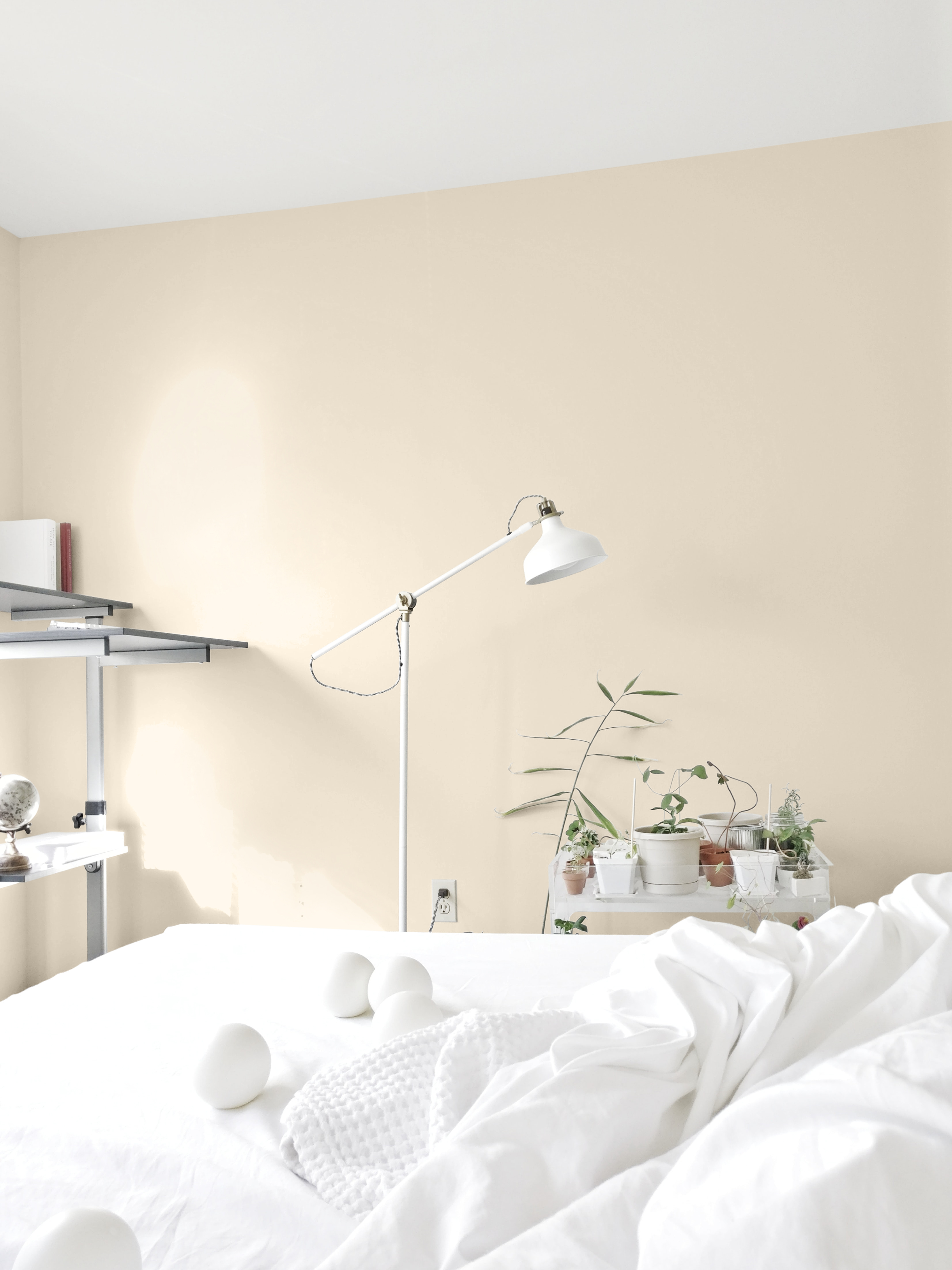 Jotun - Vanilj (1519) - Lady Pure Color - Färgprov - A4 | Colorama