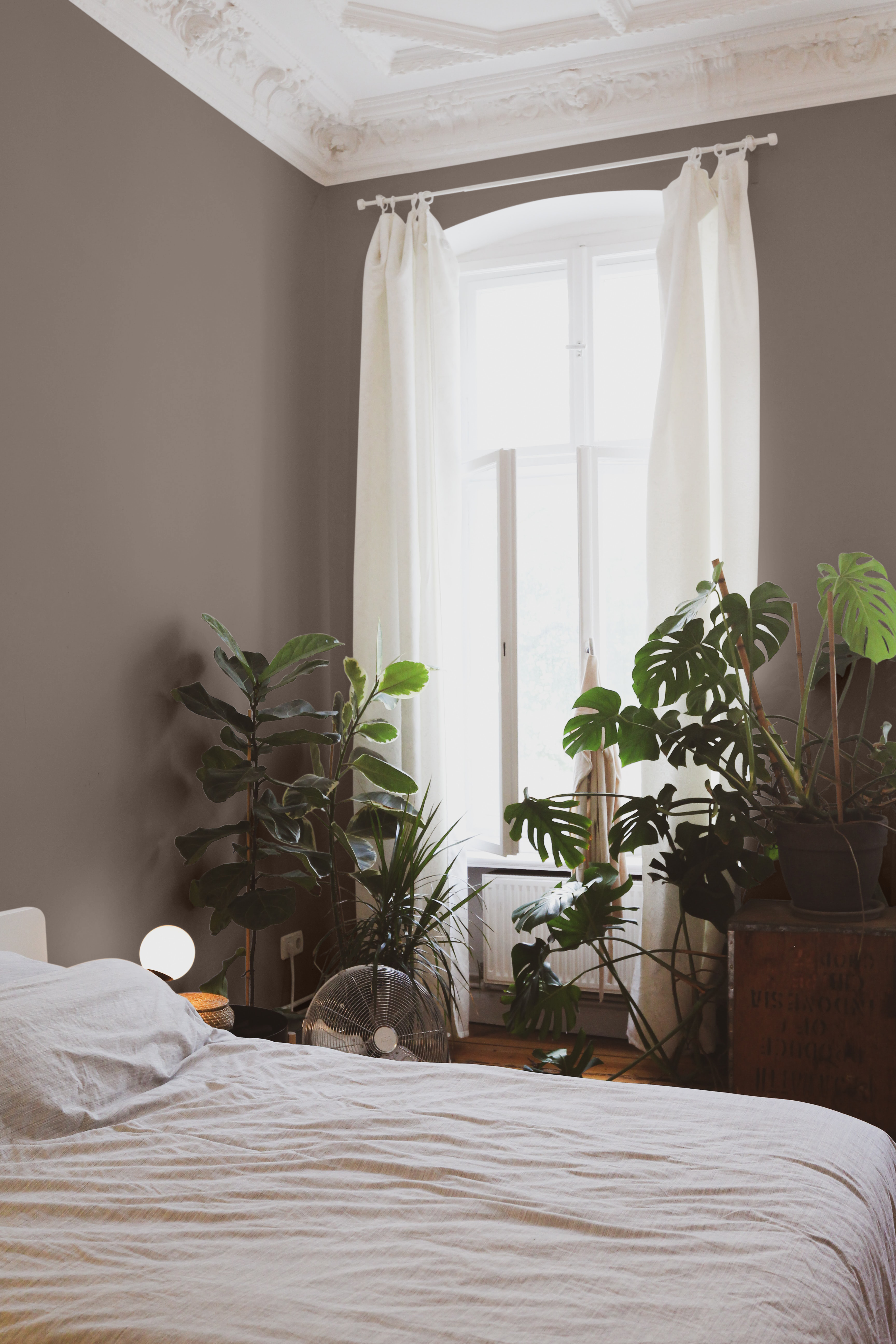 Jotun - Solid (2363) - Lady Pure Color | Colorama