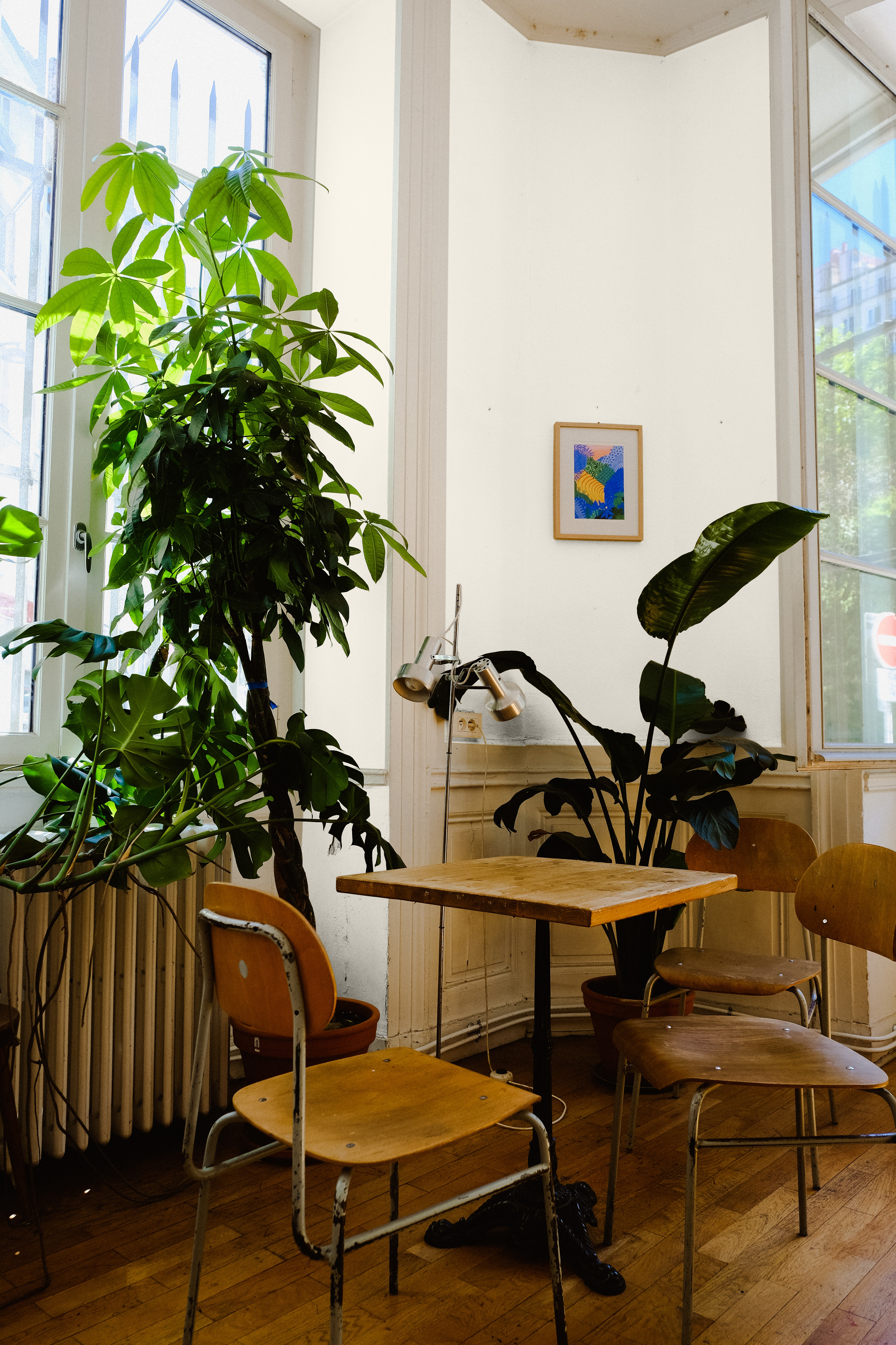 Jotun - Lys Antik (0471) - Lady Pure Color - Färgprov - A4 | Colorama