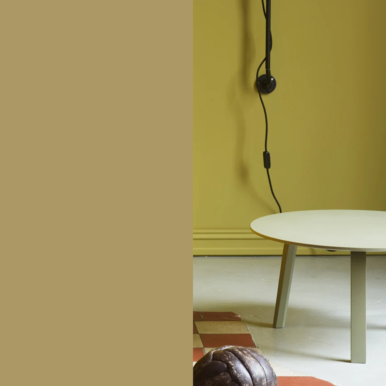 Jotun - Studio (8431) - Lady Pure Color | Colorama