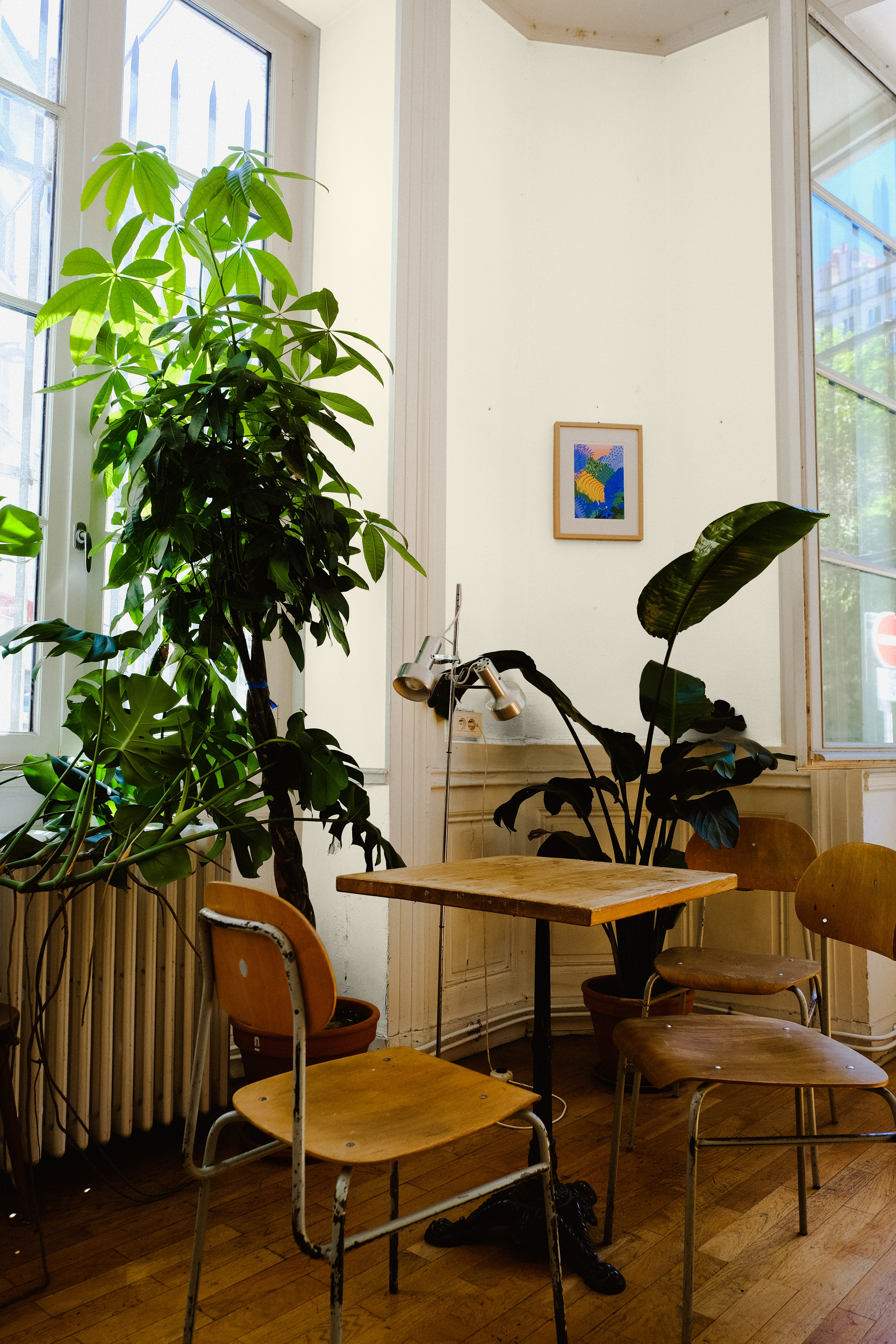 Jotun - Mild (1275) - Lady Pure Color | Colorama