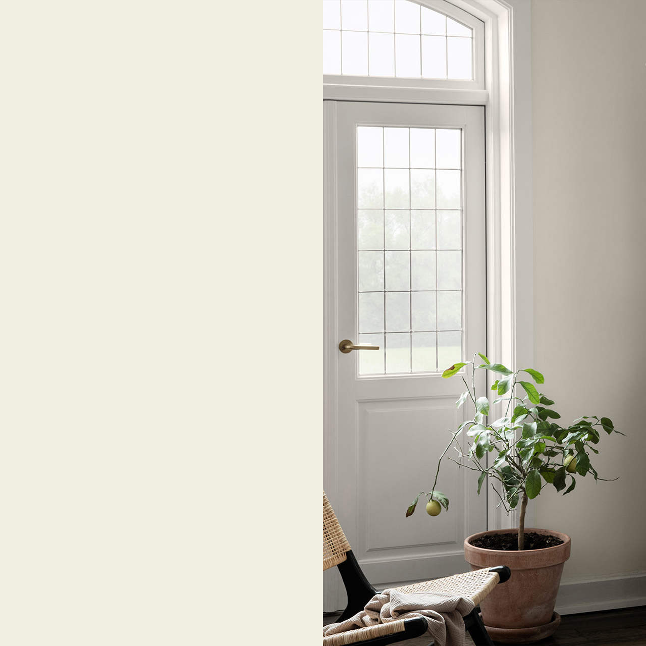 Jotun - Bomull (1453) - Lady Pure Color | Colorama