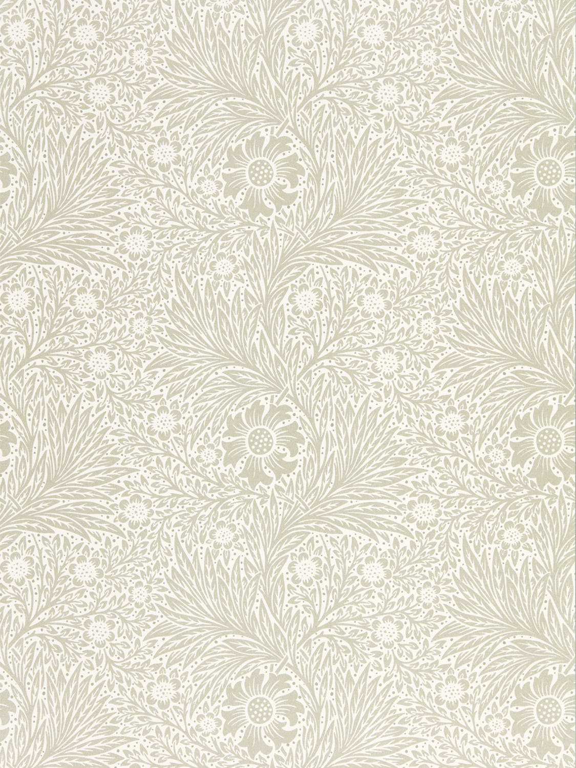 Pure Marigold Soft Gilver | Colorama